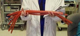 Mercury Legacy Products - NEWMOA - Northeast Waste Management Officials ...